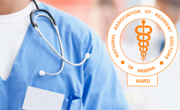 NARD Issues 21-Day Strike Ultimatum over Welfare - Health Reporters